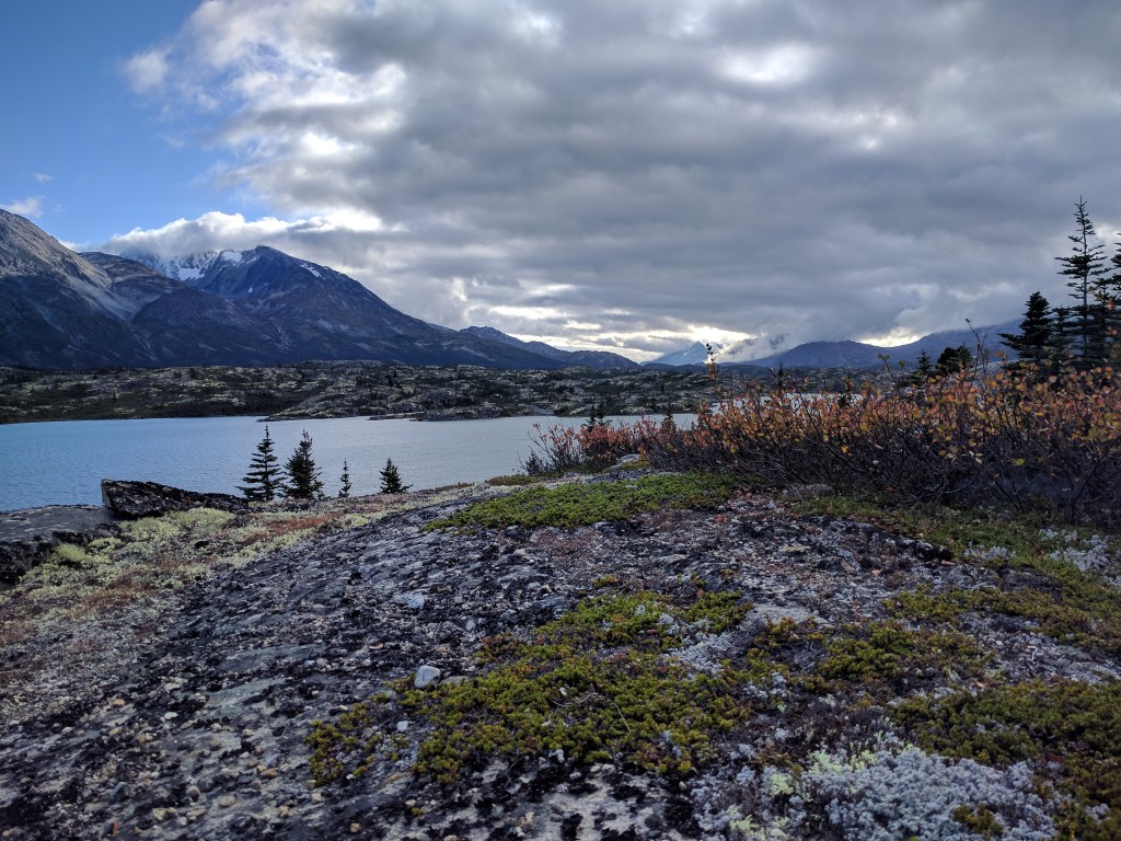 The Yukon – DayDream Under the Stars