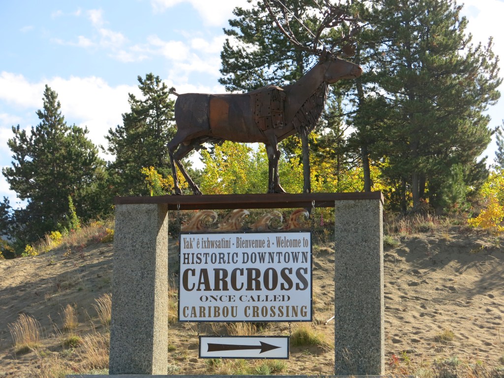 The Yukon – DayDream Under the Stars