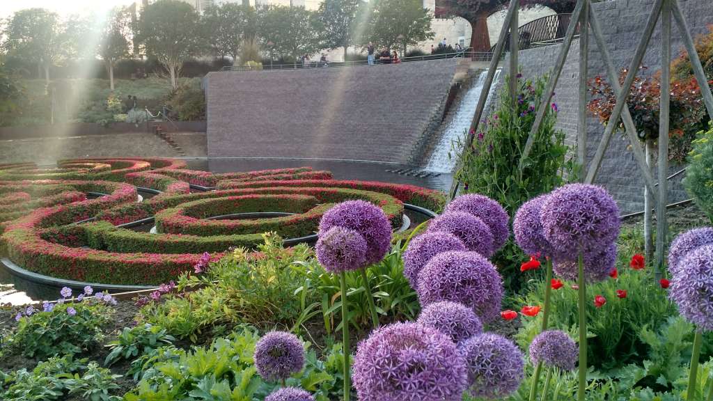 7 reasons why I love the Getty Museum – DayDream Under the Stars