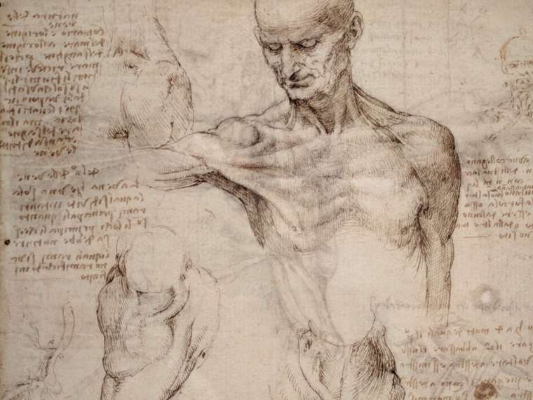 Inside The “renaissance Nude” Daydream Under The Stars 2467