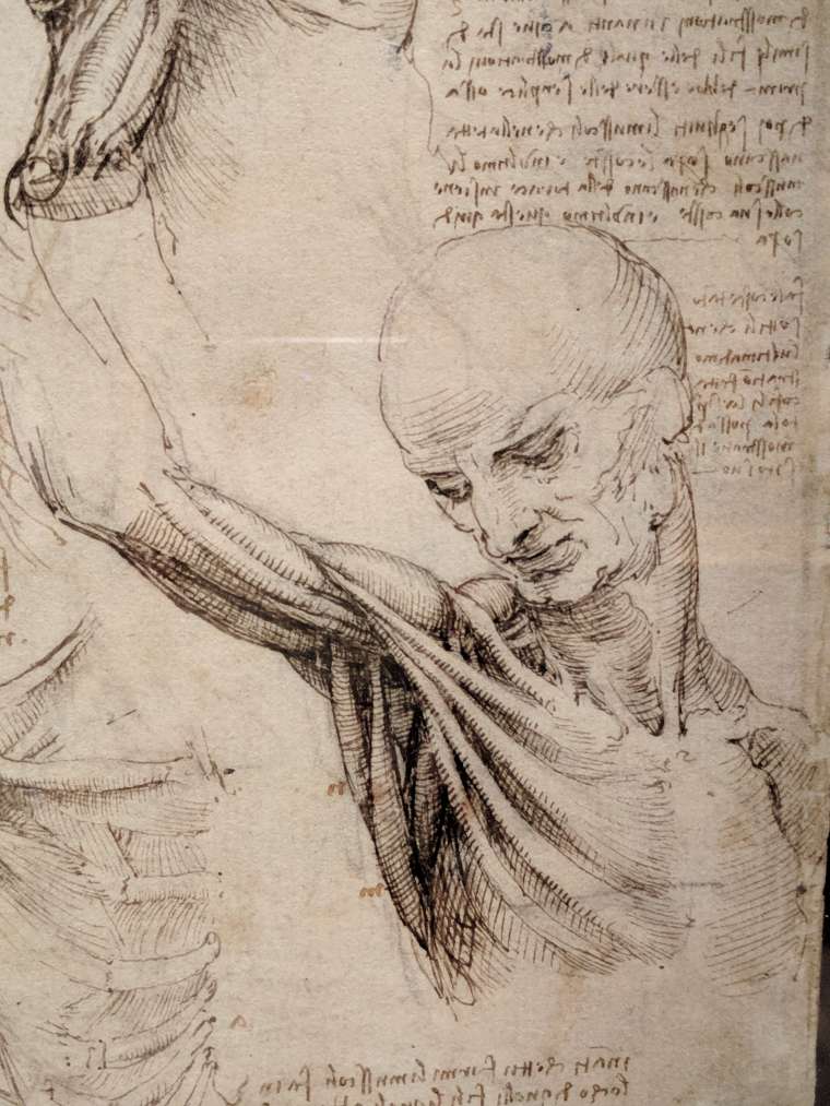 Inside The Renaissance Nude” Daydream Under The Stars