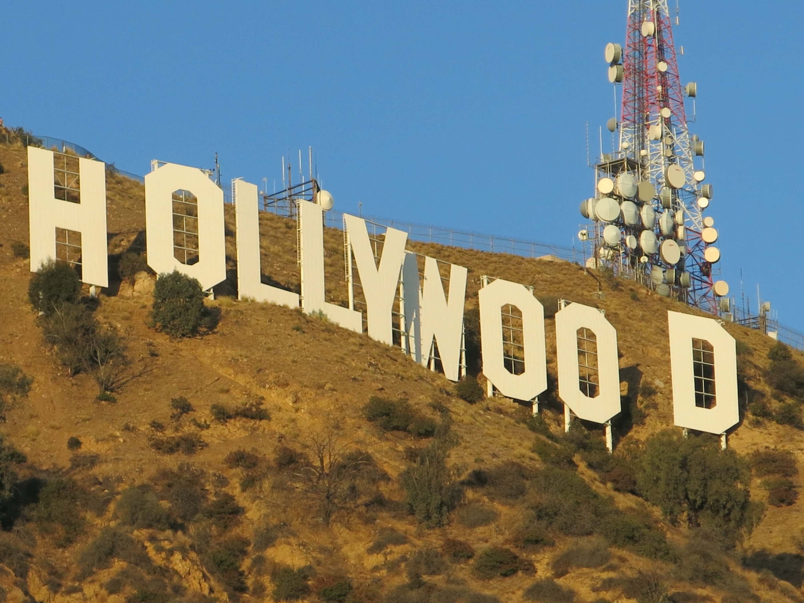 All about Oscar – DayDream Under the Stars