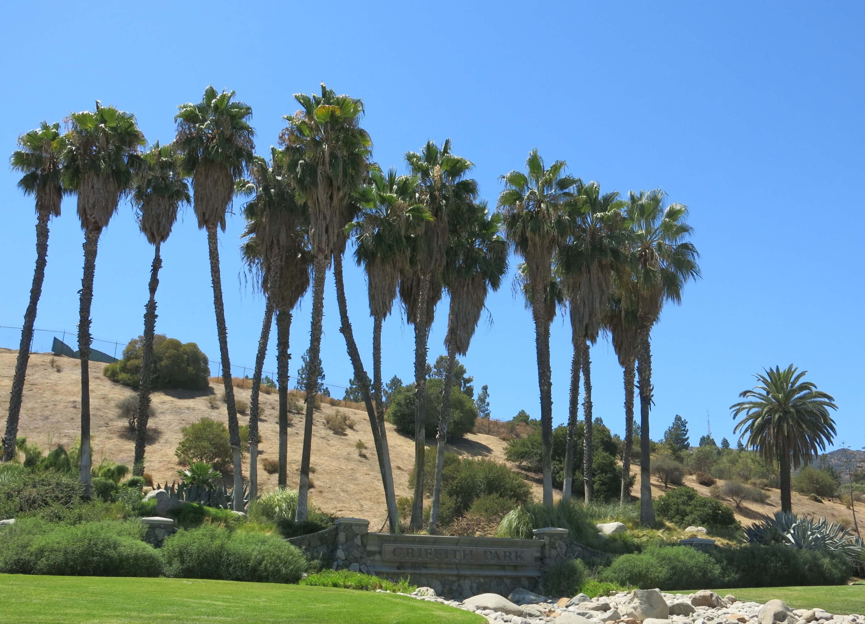 Explore Griffith Park’s Hidden Gems – DayDream Under the Stars