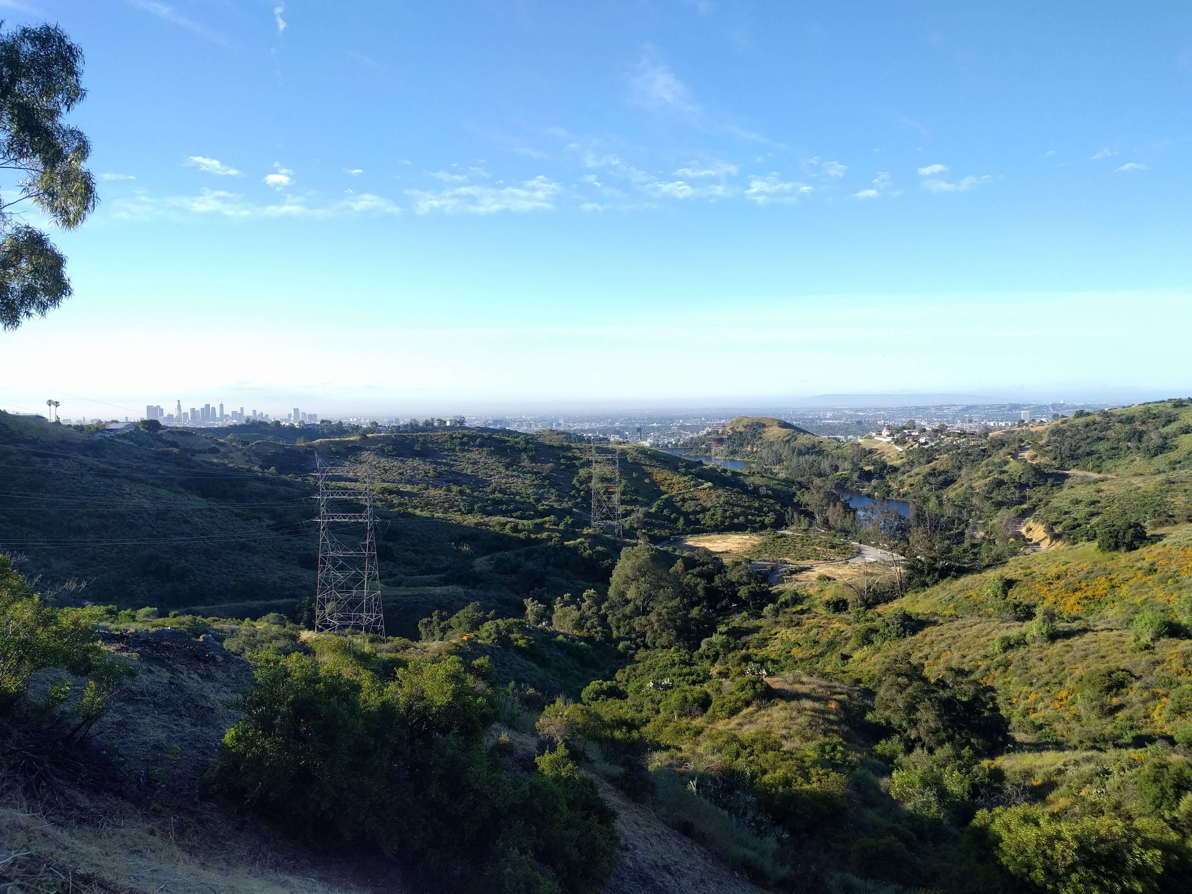 Hike the Wisdom Tree – DayDream Under the Stars