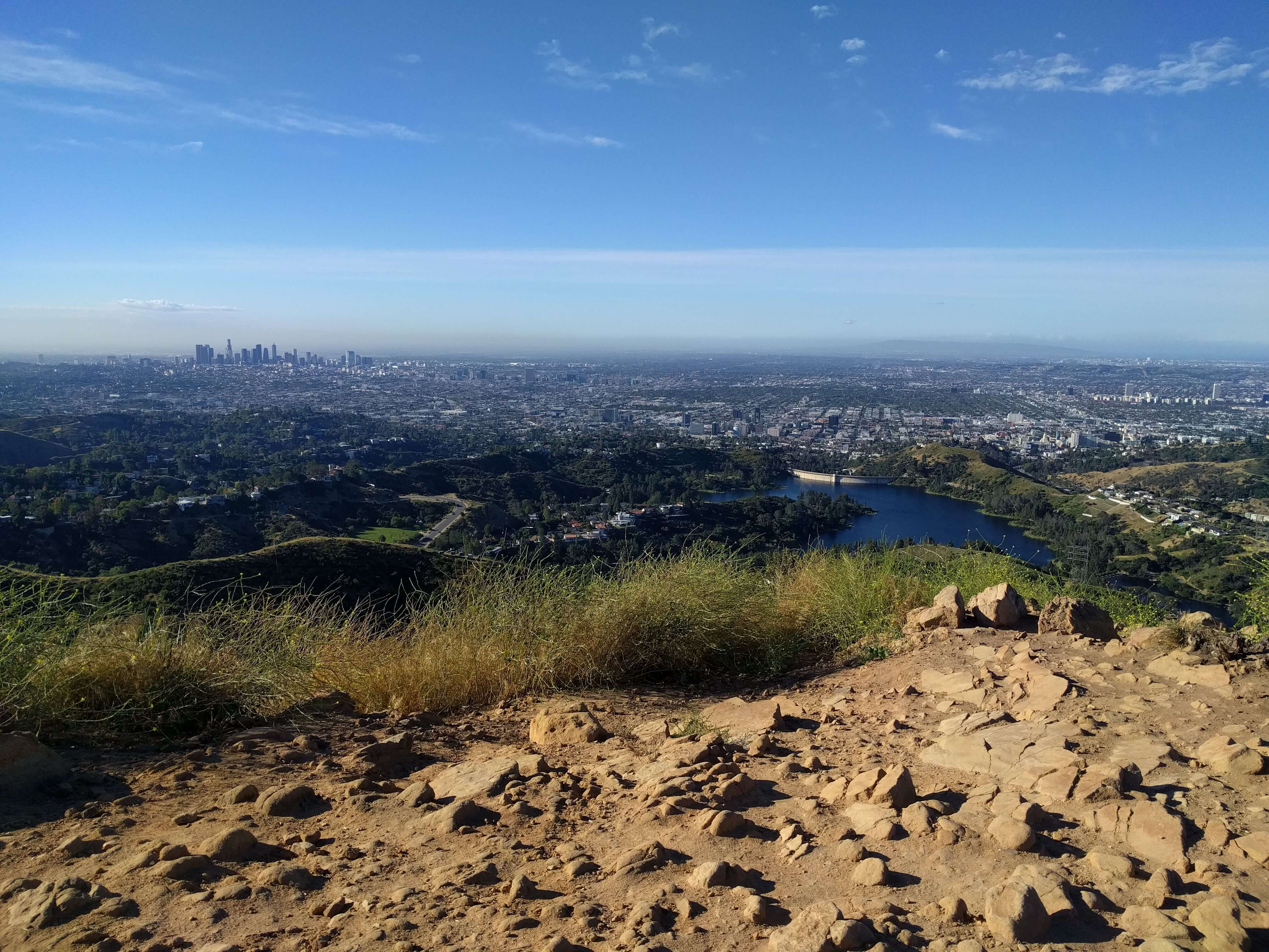 Hike the Wisdom Tree – DayDream Under the Stars