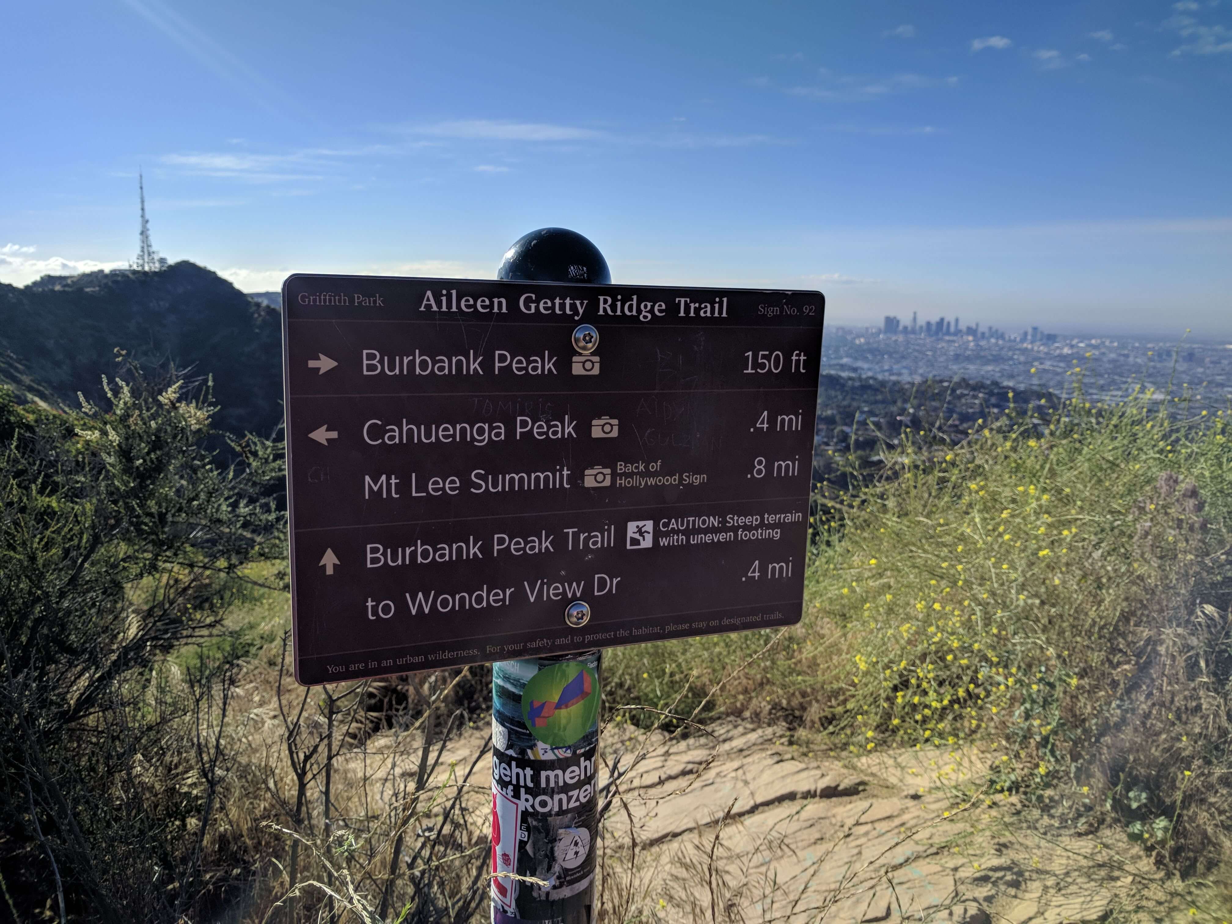 Hike the Wisdom Tree – DayDream Under the Stars