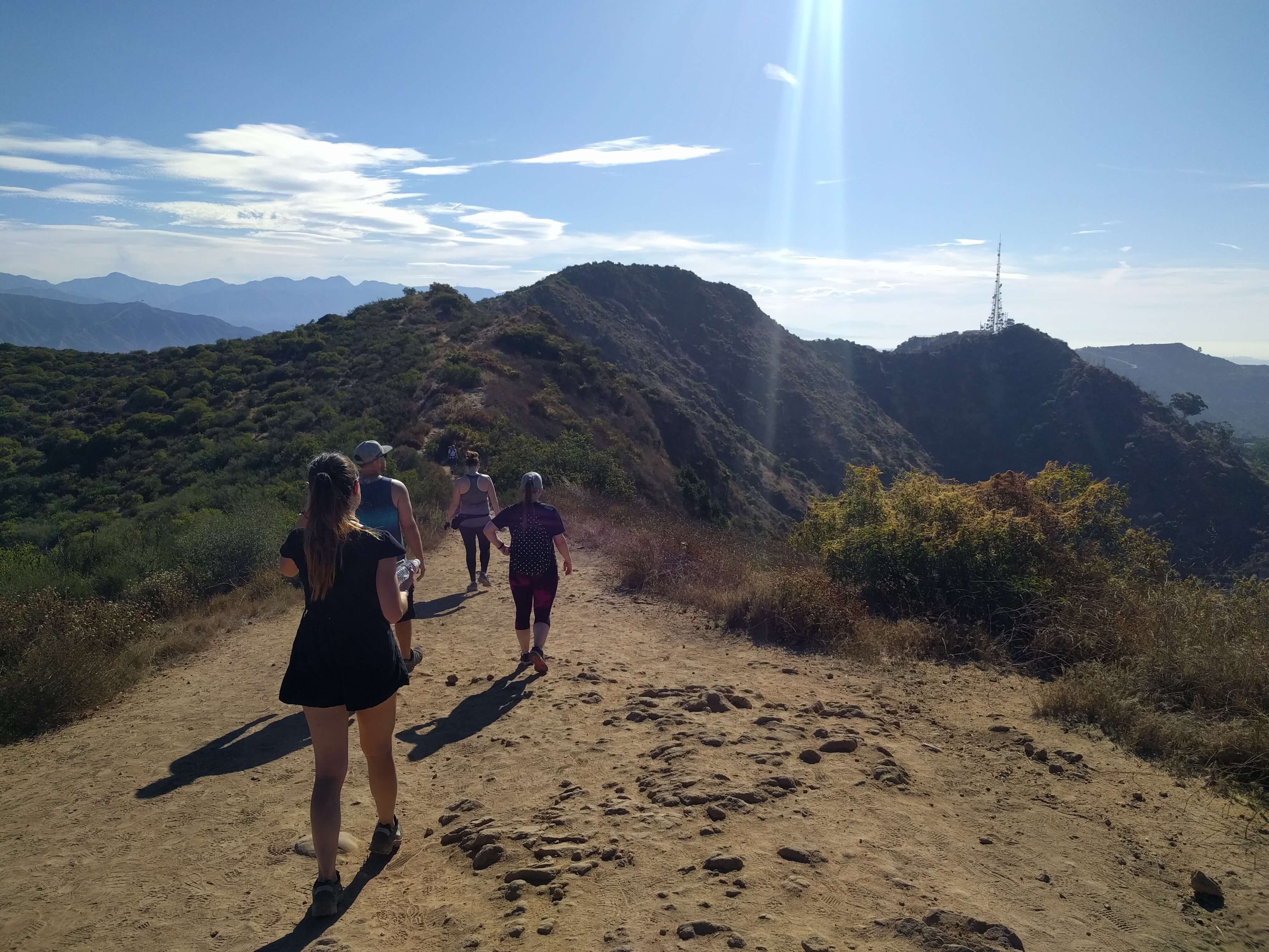 Hike the Wisdom Tree – DayDream Under the Stars