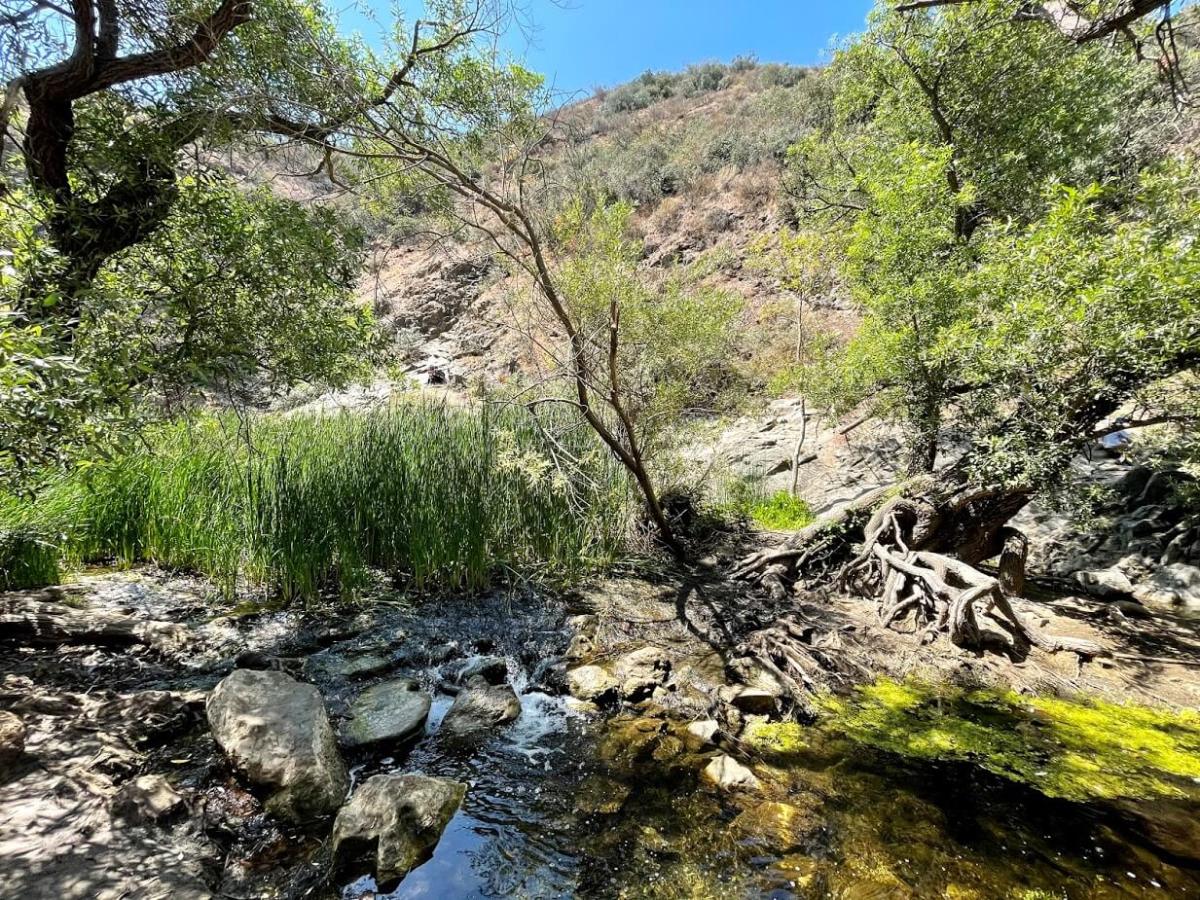 Hike Paradise Fall – DayDream Under the Stars