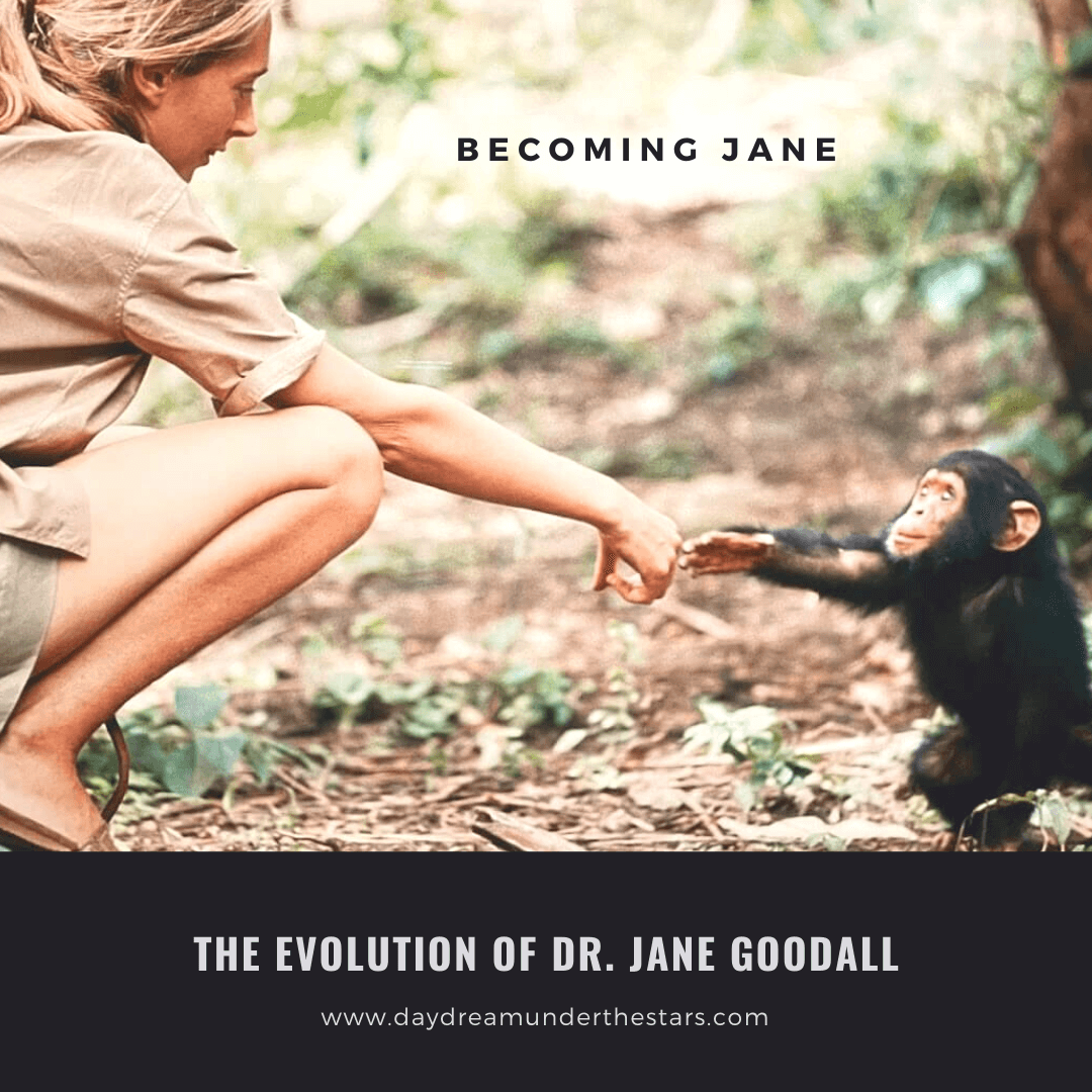 Inside “Becoming Jane” – DayDream Under the Stars