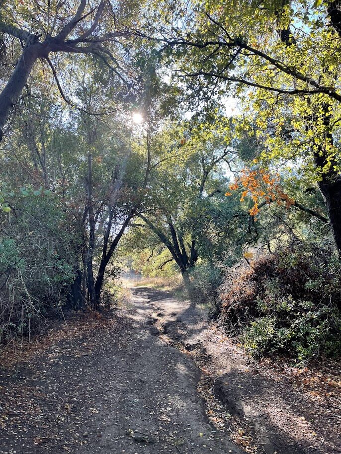 Hike King Gillette Ridge Trail Loop – DayDream Under the Stars