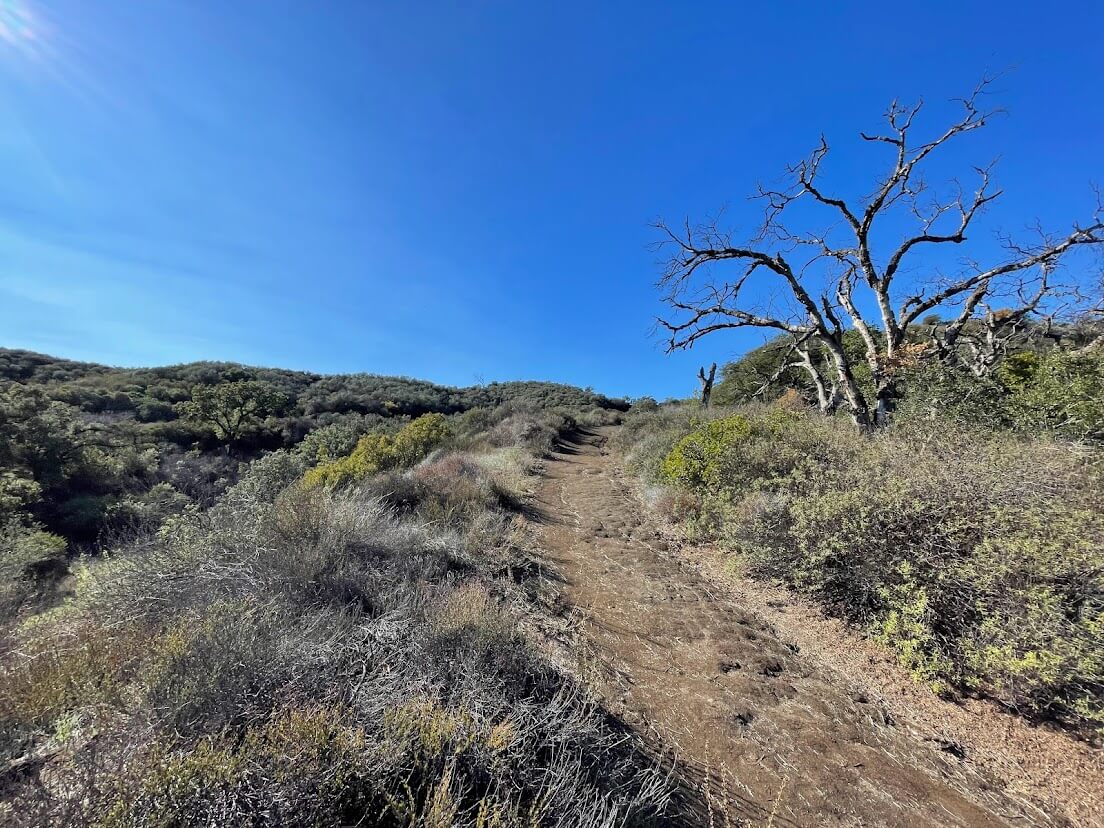 Hike King Gillette Ridge Trail Loop – DayDream Under the Stars