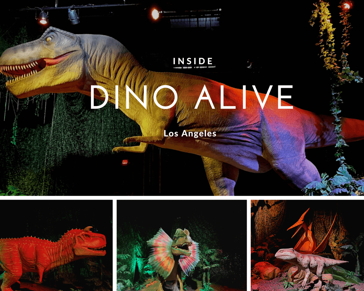 Inside “Dinos Alive Los Angeles.” – DayDream Under the Stars