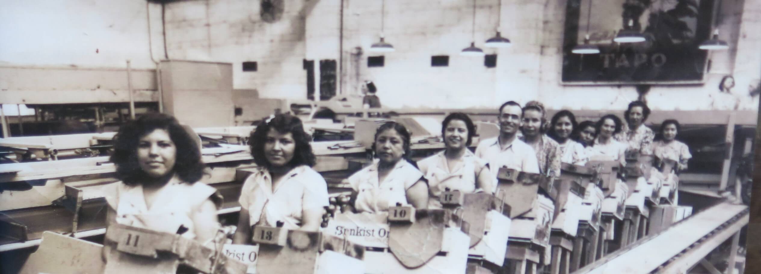 Visit California Citrus State Park: A Zesty Adventure in the Land of ...