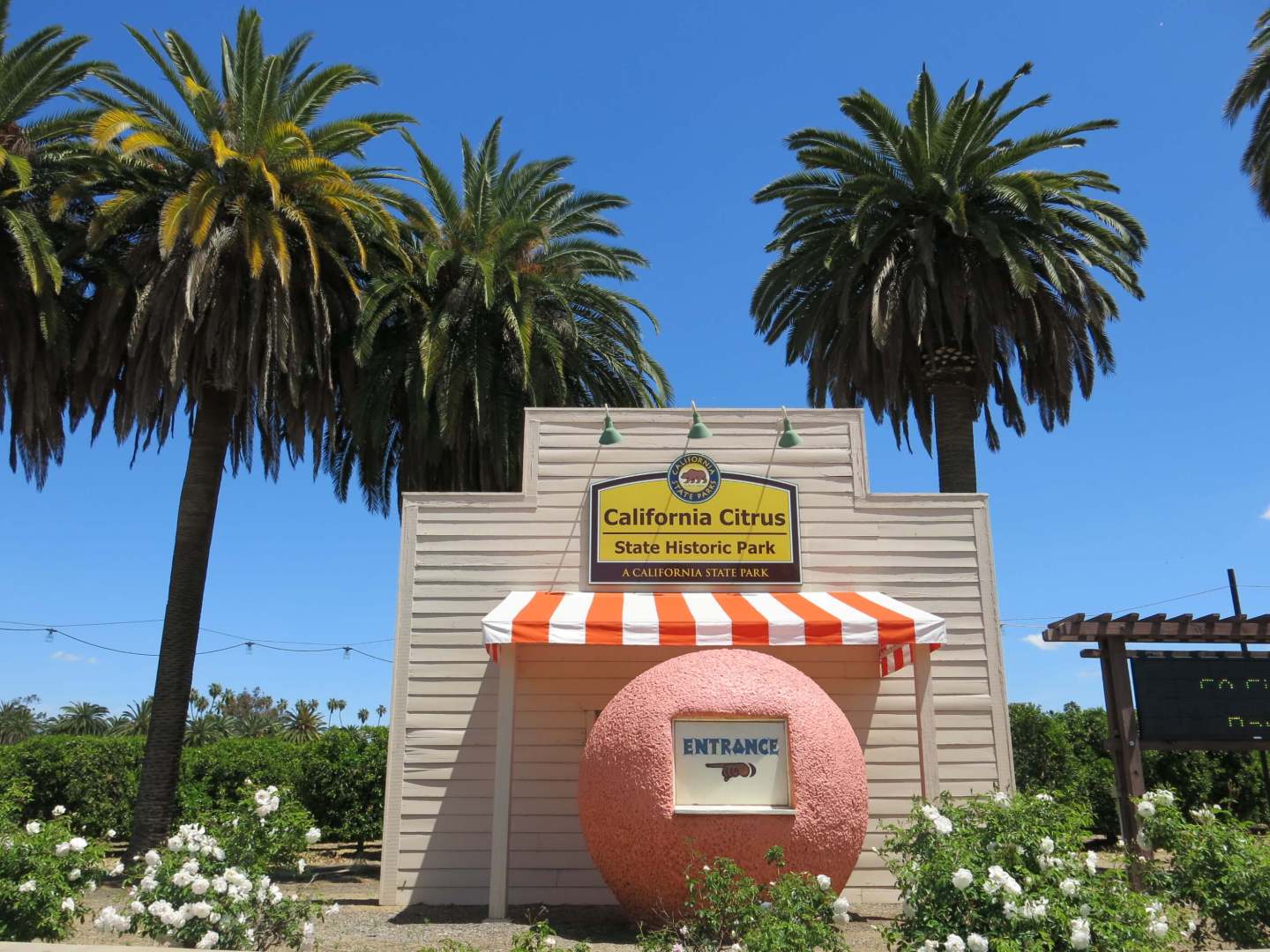 Riverside Rendezvous: Your Ultimate Guide to the City’s Top Attractions ...